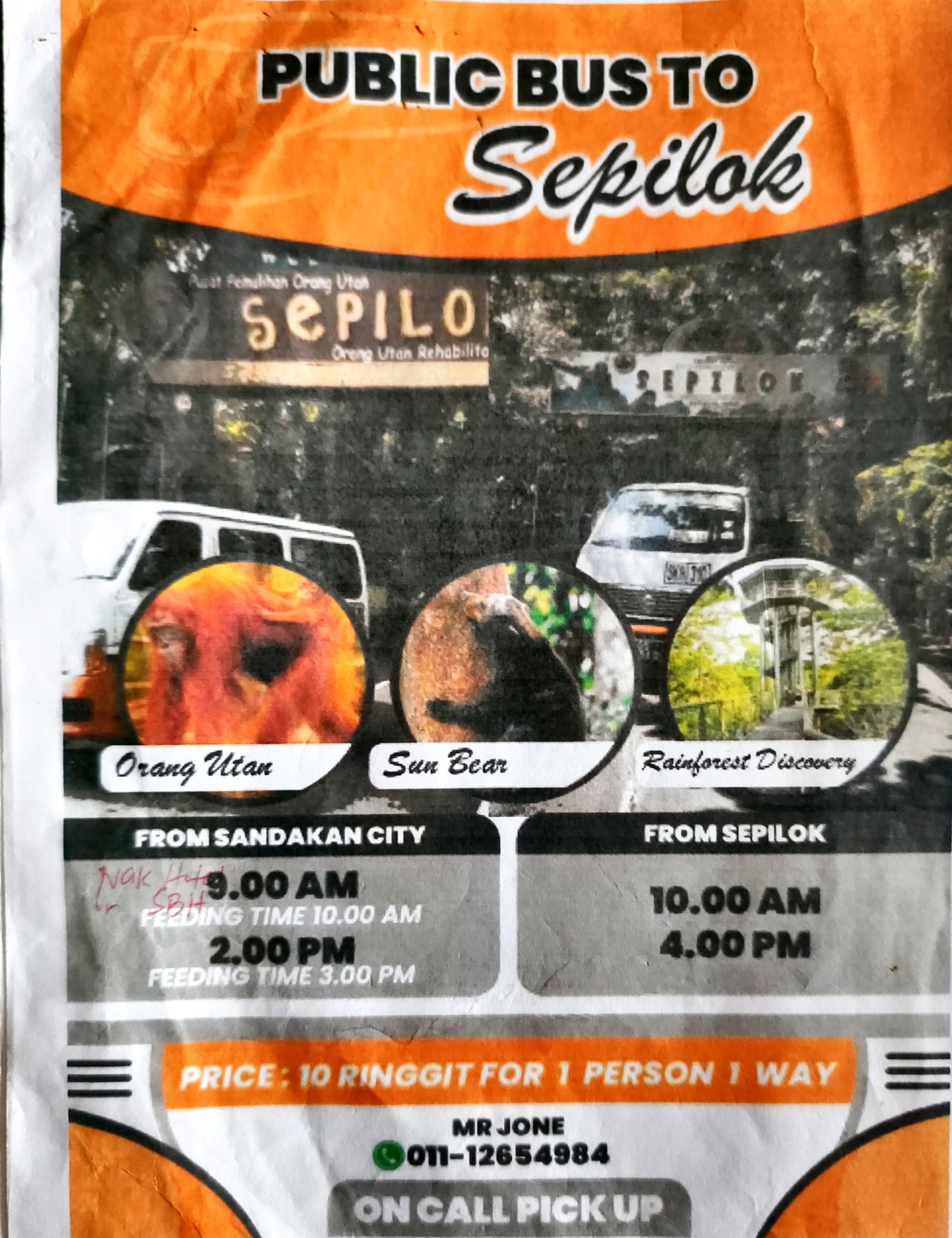 Best Things to Do & How to Get to Sepilok & Sandakan [2026]
