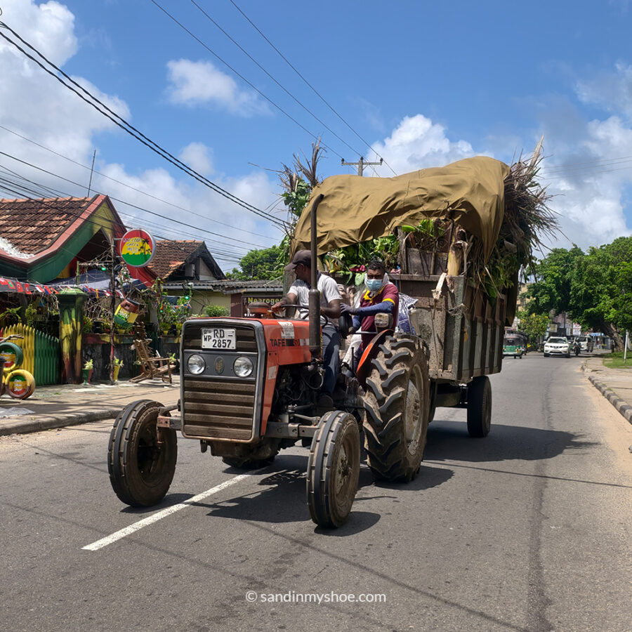 7 Things to Do in Negombo Town (Including Leaving) - Sand in My Shoe ...