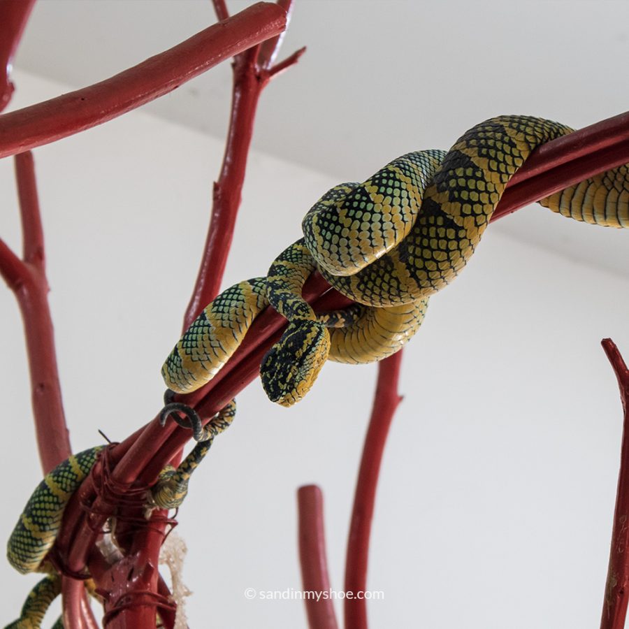 Snake Temple Penang: Tourist Trap or Worth Visiting 2026?