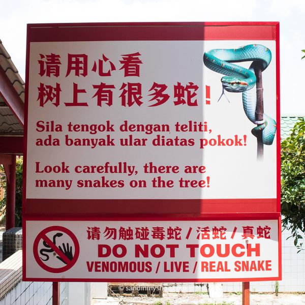 Snake Temple Penang: Tourist Trap or Worth Visiting 2026?