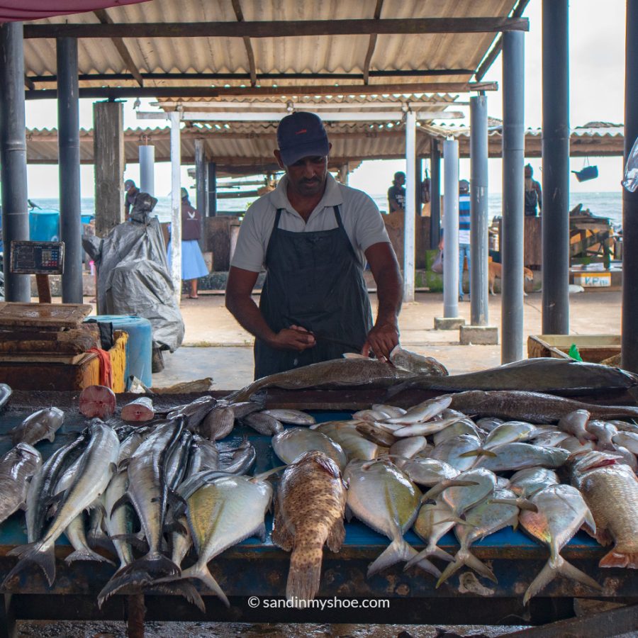 7 Things to Do in Negombo Town (Including Leaving) - Sand in My Shoe ...
